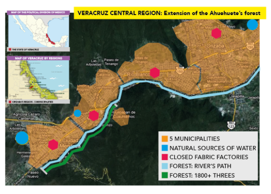 Bosque de los ahuehuetes - Spinmakers